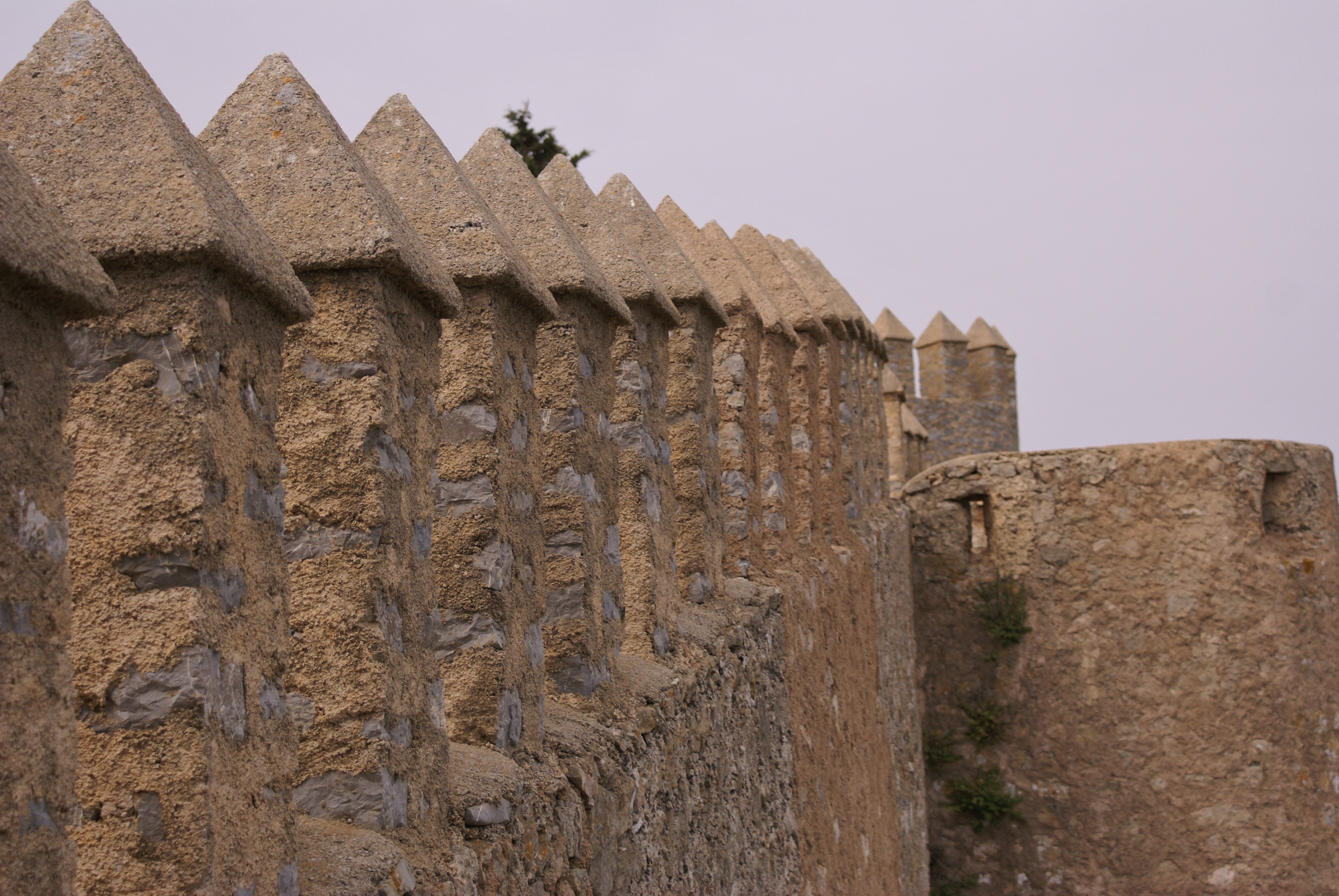 Discover the real Mallorca in August & September | Mallorca Pure